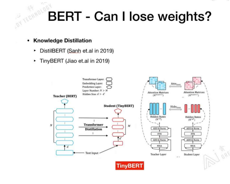 ALBERT模型的理解-CSDN博客