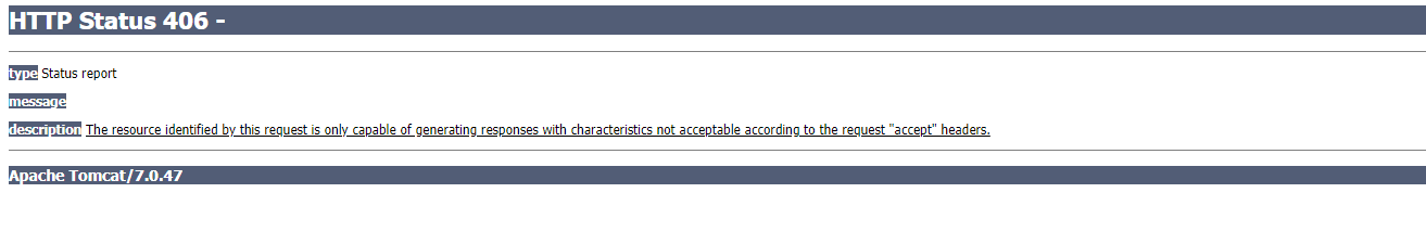 在调试启动maven项目时报406错误，The resource identified by this request is only capable of generating ...