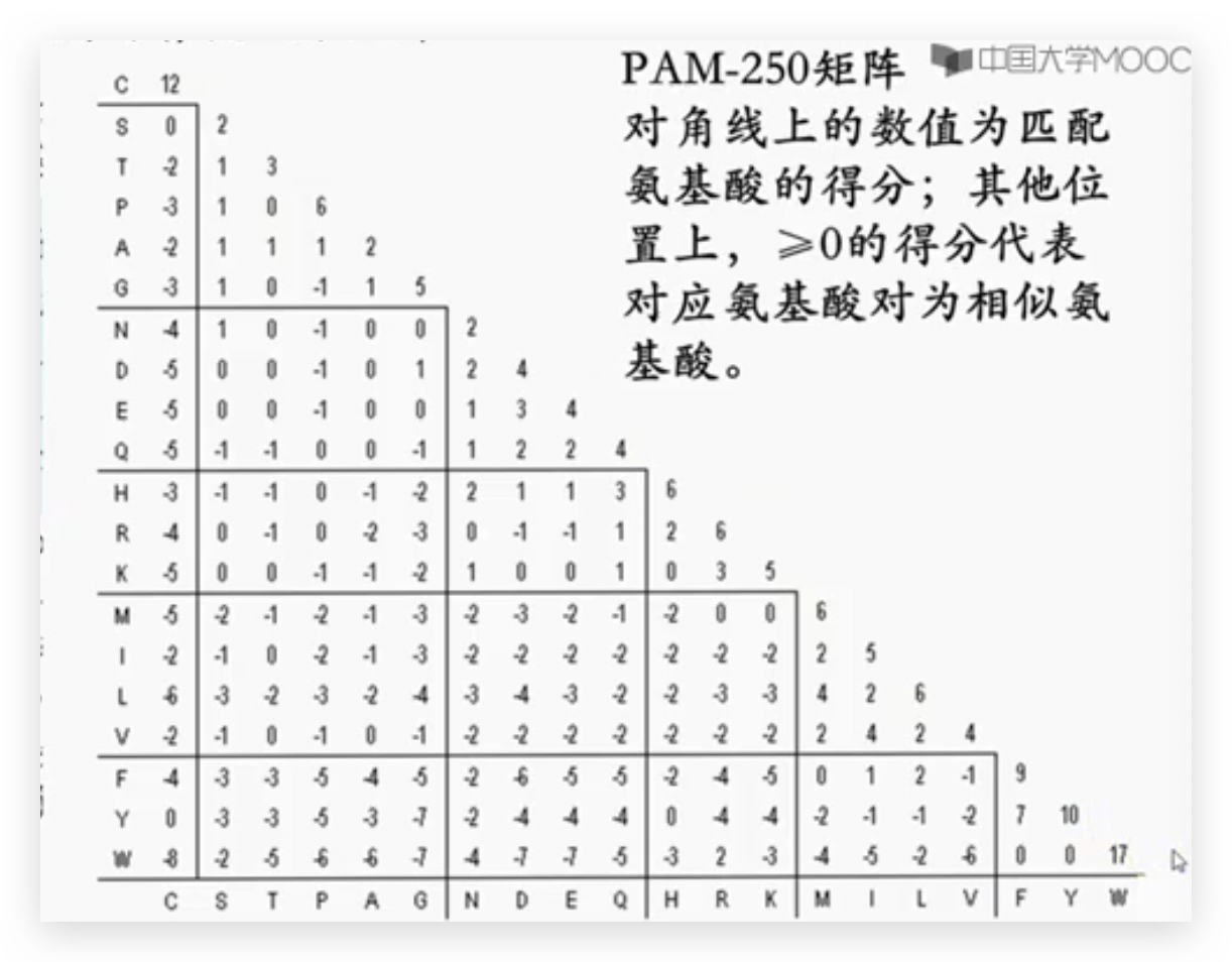山大生信_02_序列比较_P1_bleuebaleine的博客-CSDN博客