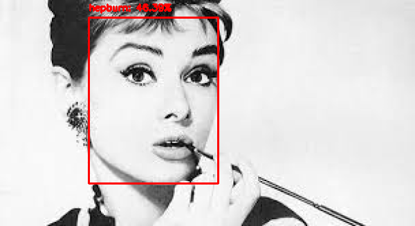 基于opencv实现人脸识别_nn4.small2.v1.t7-CSDN博客