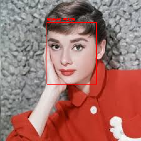 基于opencv实现人脸识别_nn4.small2.v1.t7-CSDN博客