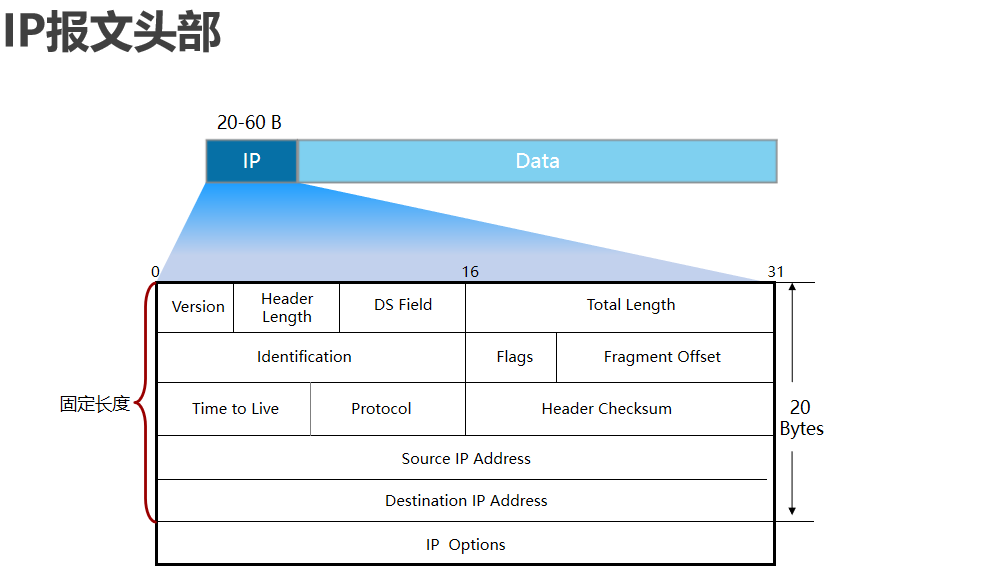 二、IP编址_编程实现一个ip编址计算工具,语言不限,程序功能需包括: (1)能够根据用户输入的网-CSDN博客