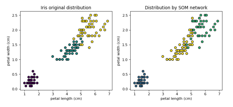 SOM神经网络、LVQ神经网络、CPN神经网络与Python实现_Hαlcyon的博客-CSDN博客_cpn神经网络