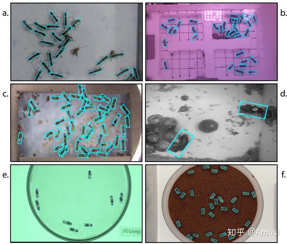 MAST中安装spatial-correlation-sampler踩坑记录 - 程序员大本营