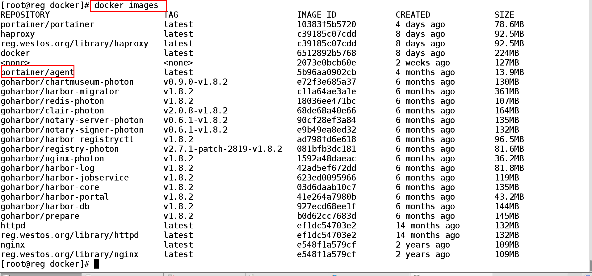 Docker集群管理（docker stsack多服务部署、portanier可视化）_portainer stack-CSDN博客