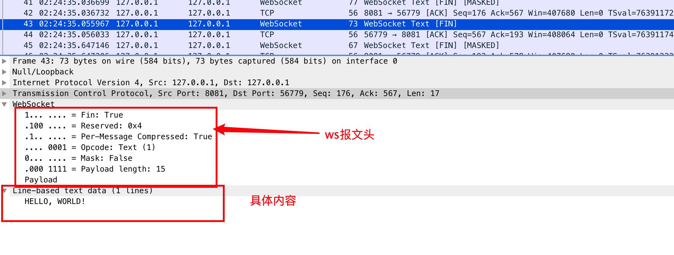 01-websocket简介及抓包分析_websocket报文-CSDN博客