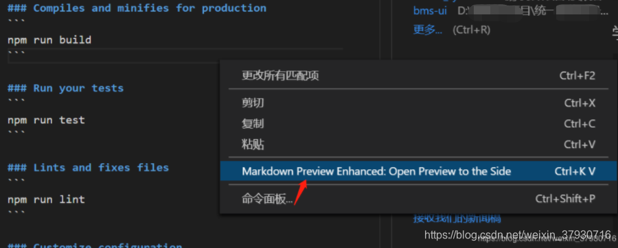 Vsc系列 实时预览markdown——markdown Preview Enhanced(插件篇)(十) Csdn博客