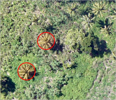 ArcGIS Pro基于遥感影像使用深度学习地物识别评估植被健康情况(教程）_GISer_YXwang的博客-CSDN博客_arcgis对遥感影像提取植被