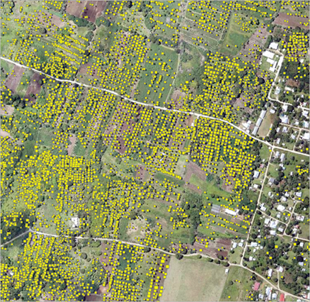 ArcGIS Pro基于遥感影像使用深度学习地物识别评估植被健康情况(教程）_GISer_YXwang的博客-CSDN博客_arcgis对遥感影像提取植被
