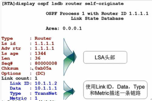 OSPF之区域内路由_ospf类型transit和stub-CSDN博客