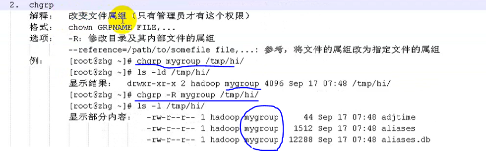 Linux命令：权限管理---chown,chgrp,chmod用法_chown $(id -u):$(id -g)-CSDN博客