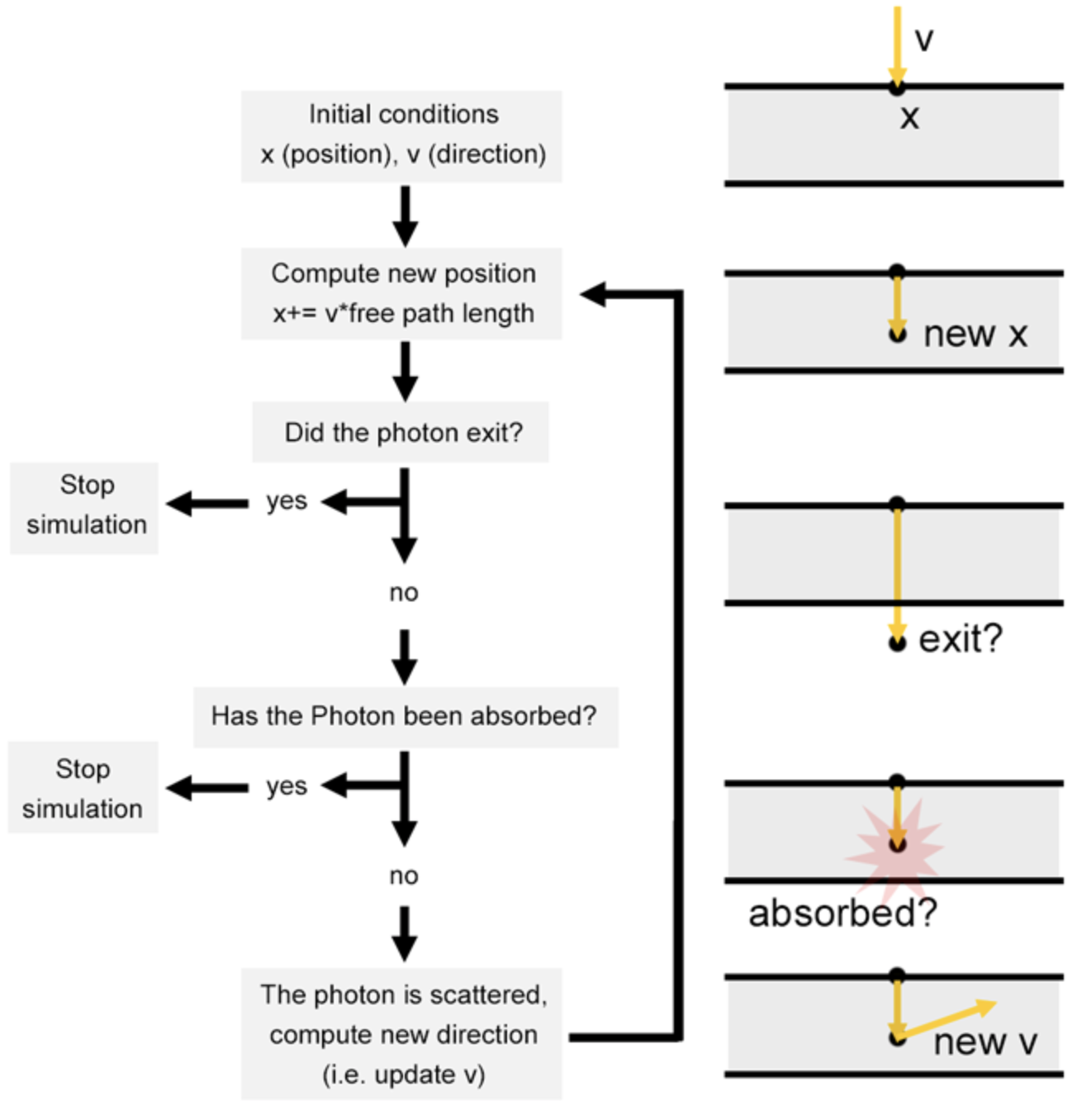 蒙特卡洛(Monte Carlo)方法的介绍和应用-CSDN博客