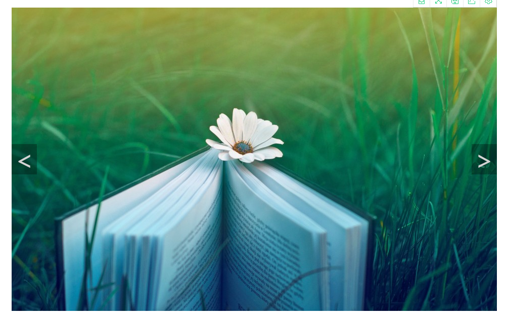 Jquery实现左右箭头切换轮播的效果_jquery 轮播图效果 带左右箭头-CSDN博客