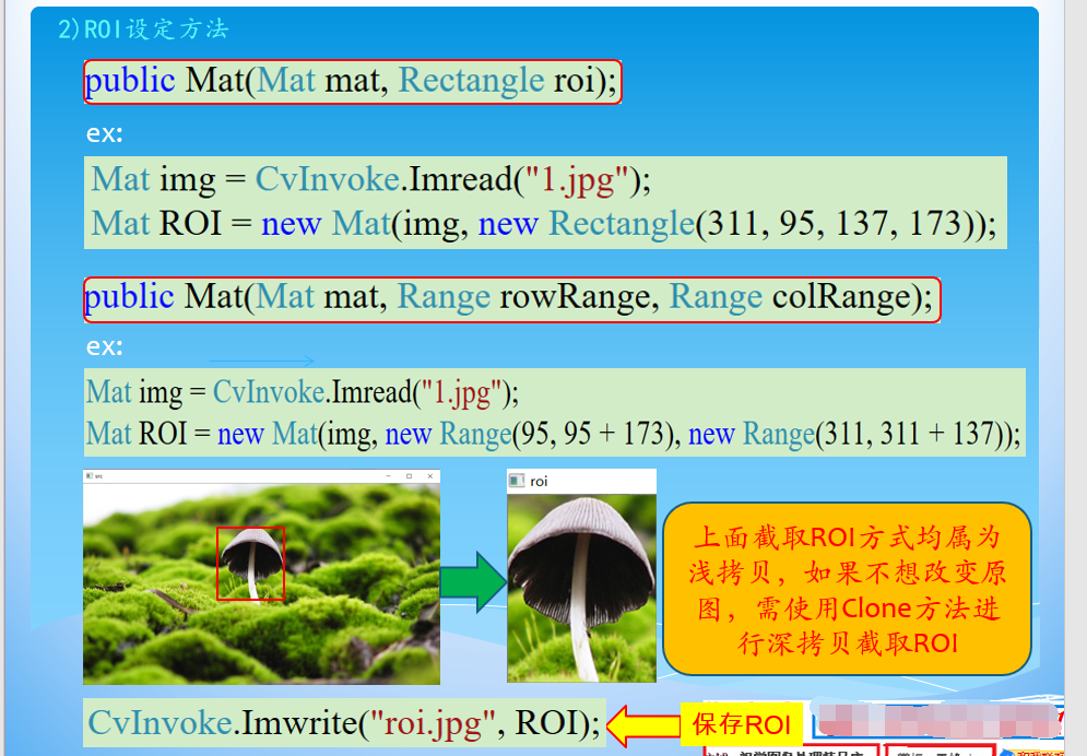 EmguCV-第11讲-ROI与mask掩码_emgucv roi-CSDN博客