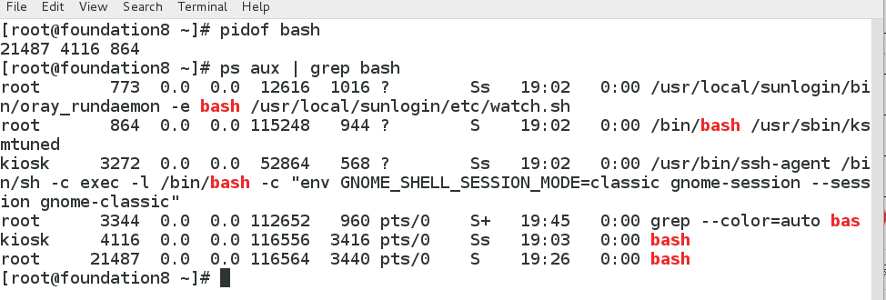 查看进程使用的文件（命令：fuser、lsof、pidof）_fuser命令详解-CSDN博客