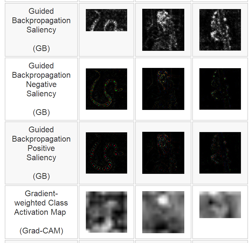 CNN-Visualization 卷积神经网络训练可视化_cnn visualization-CSDN博客