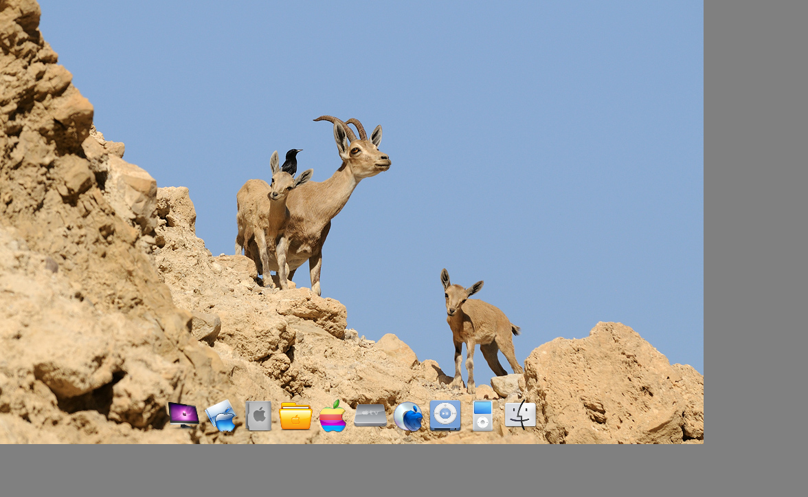 Html editor component_dhtml editing component下载-CSDN博客