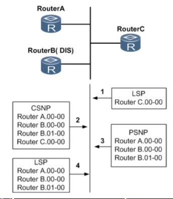 IS-IS协议基础-CSDN博客