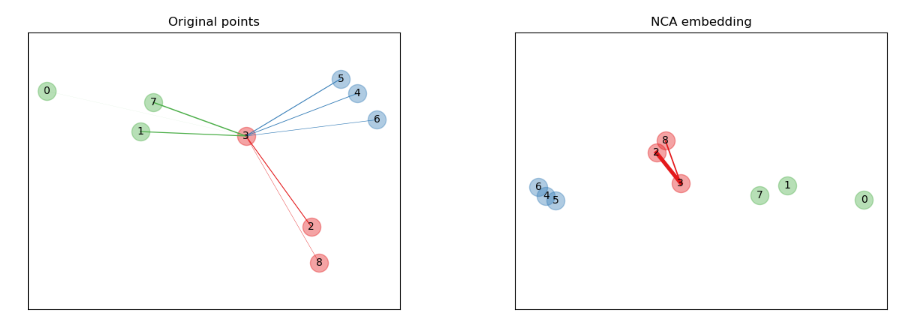 NCA（Neighborhood Components Analysis）_neighborhood component analysis ...