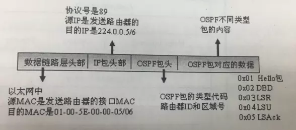 OSPF（Open Shortest Path First）协议_ospf是目前-CSDN博客