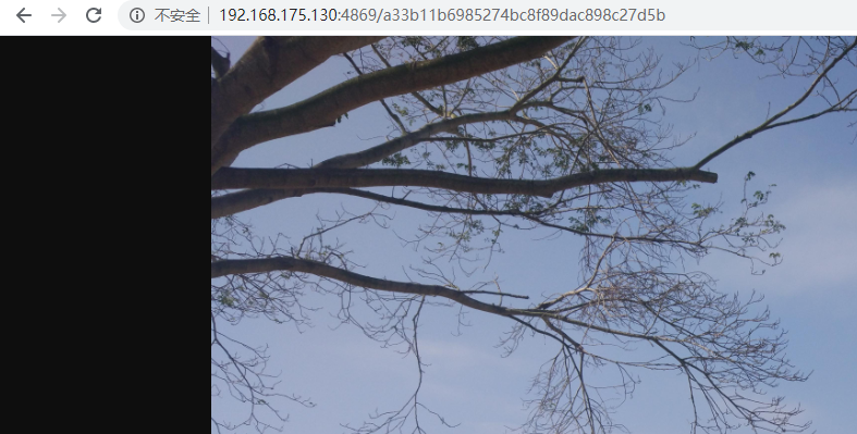 图片服务器Zimg-CSDN博客