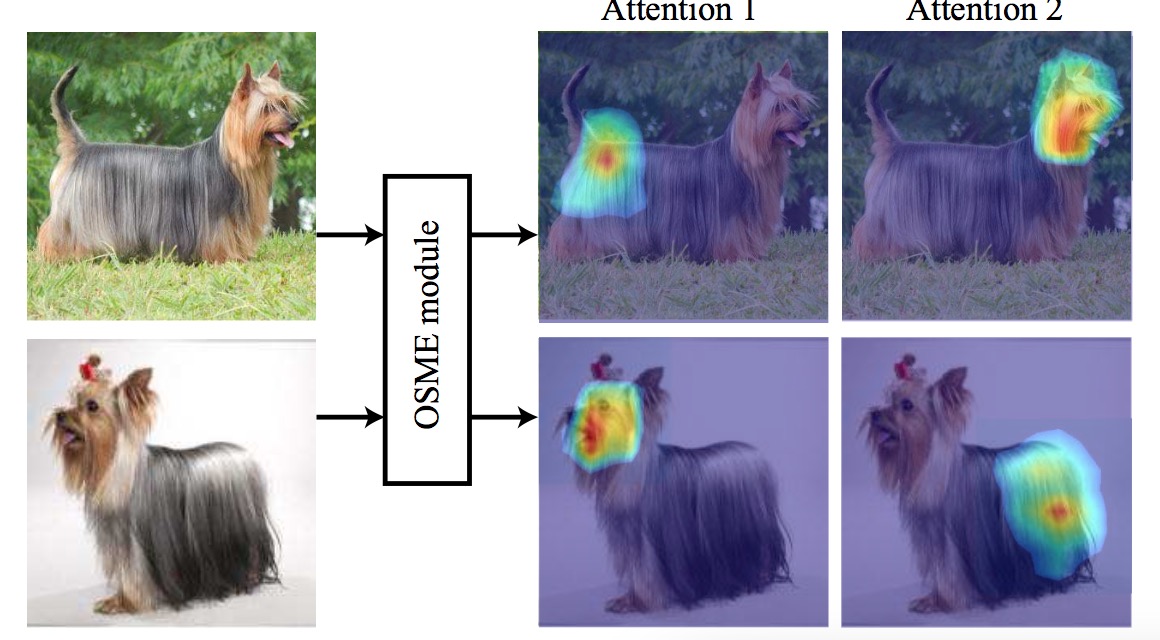 Multi-Attention Multi-Class Constraint for Fine-grained Image Recognition-CSDN博客