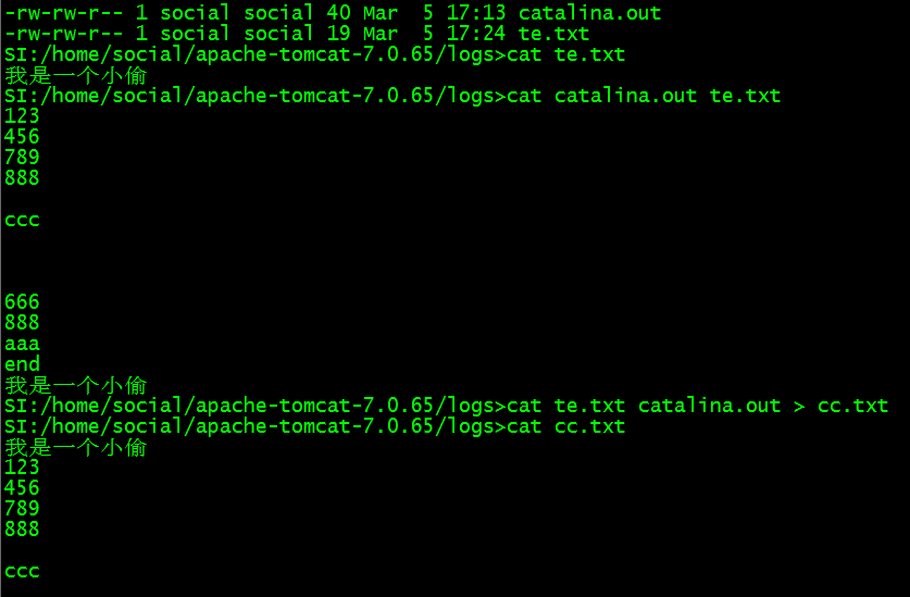Linux命令之cat和tac篇_cat tac-CSDN博客