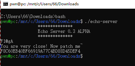 XCTF echo-server_ctf re echo_server-CSDN博客