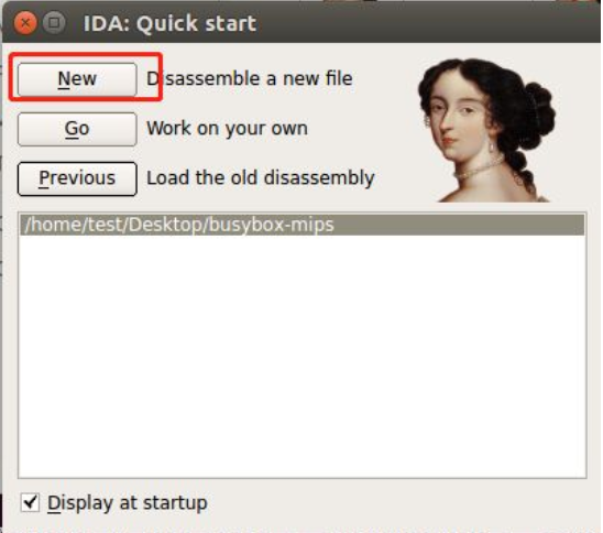 七、IDA静态分析MIPS-Linux程序环境搭建_ida安装mips插件-CSDN博客