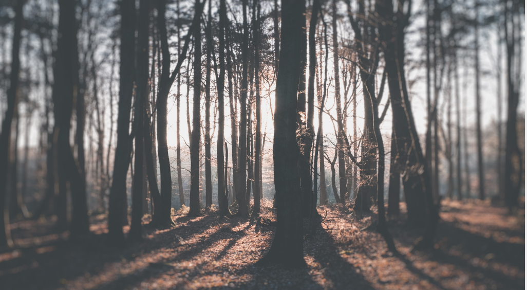 基于python3计算机视觉编程(三)SIFT特征提取与检索_通过sift特征提取和匹配,实现目标物体的识别-CSDN博客