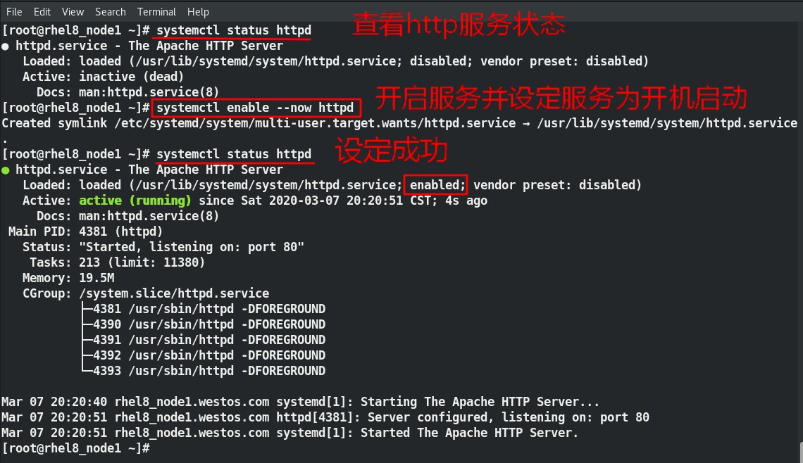 Linux下Apache Web服务器的安装与配置_嵌入式linux web服务器最新的是apache吧-CSDN博客
