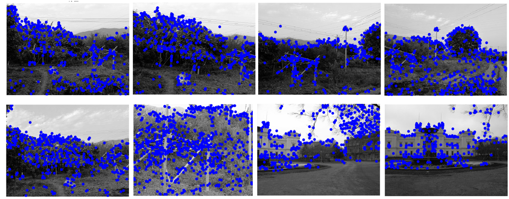 计算机视觉--SIFT特征提取与检索_理解sift特征提取算法和ransac算法的基本原理;掌握实现sift特征提取算法和ransac-CSDN博客