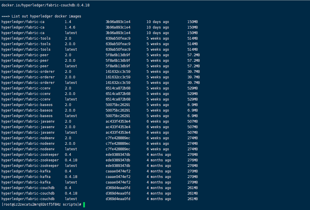 hyperledger fabric 2.0（一）环境搭建以及测试网络部署_hyperledger fabric2.2.0搭建-CSDN博客