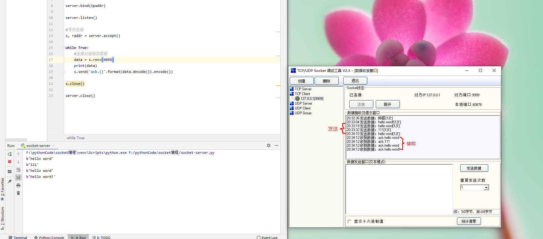基于tcp的socket编程 多线程群聊tcp的socket编程多线程 Csdn博客