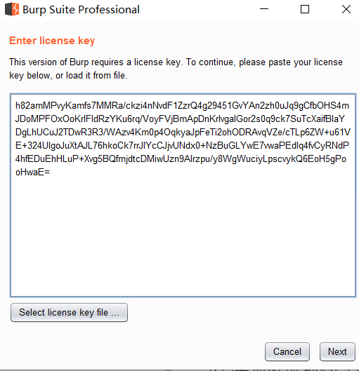 burp激活-CSDN博客