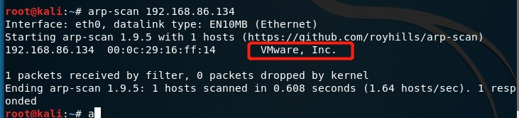 25、ARP扫描工具_arping扫描进行arp扫描-CSDN博客