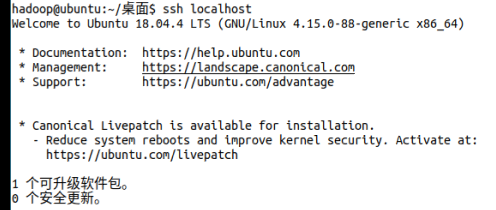 虚拟机Ubuntu18.04下安装Hadoop环境以及测试本地以及伪分布式_hadoop ubuntu测试_若见丶花葬的博客-CSDN博客
