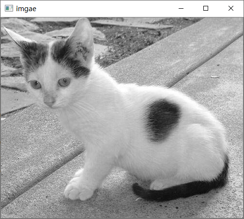 Python+Opencv 将图片转为灰度图的两种方法_python opencv 保存灰度图-CSDN博客