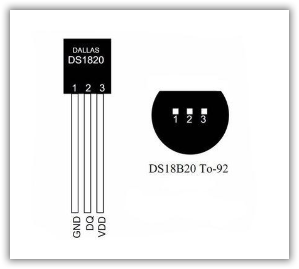 51单片机之DS18B20_ds18b20不接总线直连单片机-CSDN博客