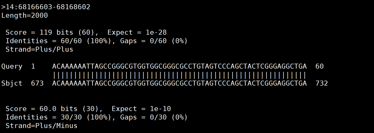 makeblastdb及blastn的使用-CSDN博客