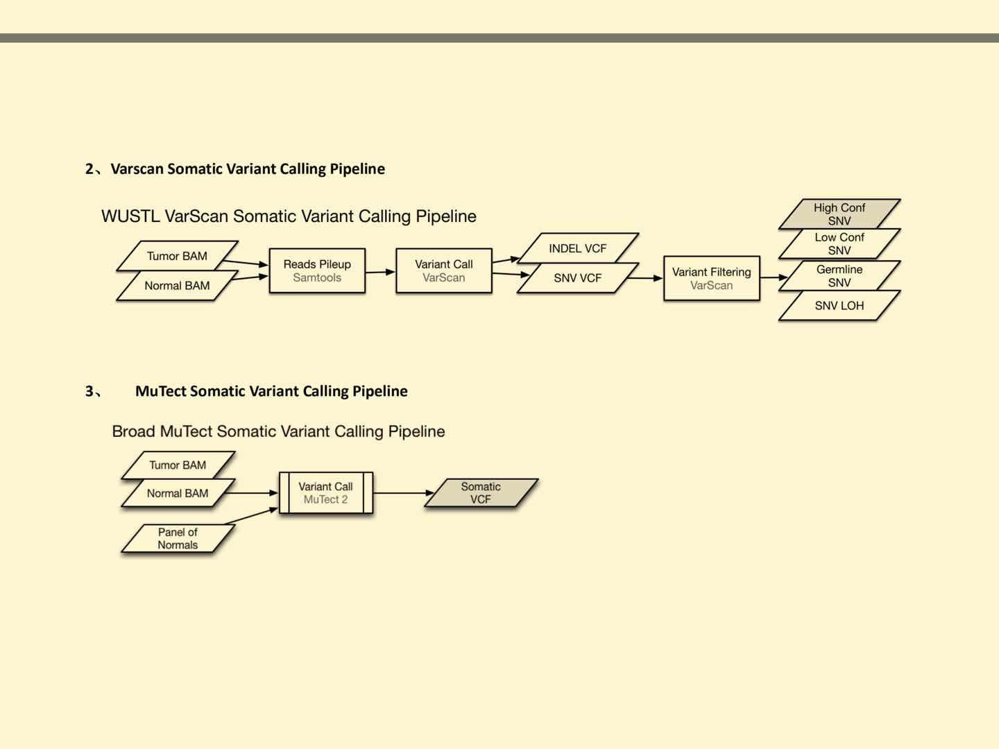 WGS完整流程介绍(原始数据质控、数据预处理、变异检测、数据注释)-CSDN博客