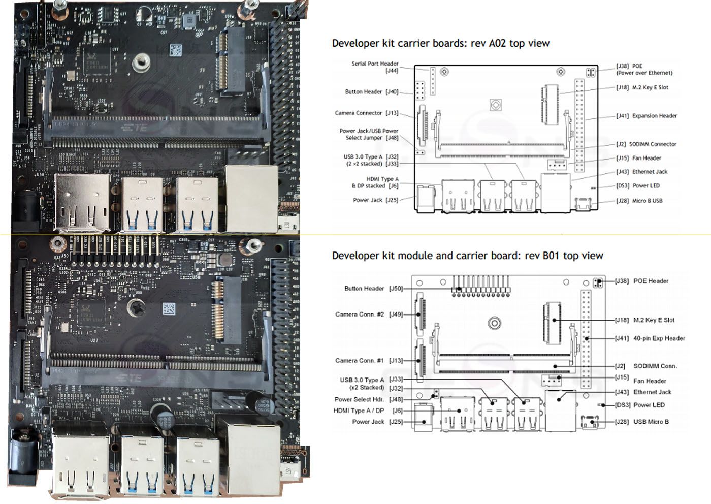 NVIDIA JETSON NANO三个版本核心的对比_jetson nano b01 a02区别-CSDN博客