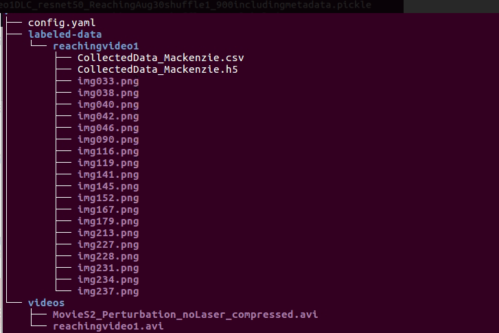 DeepLabCut使用Demo项目示范_deeplabcut的合并数据集-CSDN博客