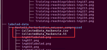 DeepLabCut使用Demo项目示范_deeplabcut的合并数据集-CSDN博客