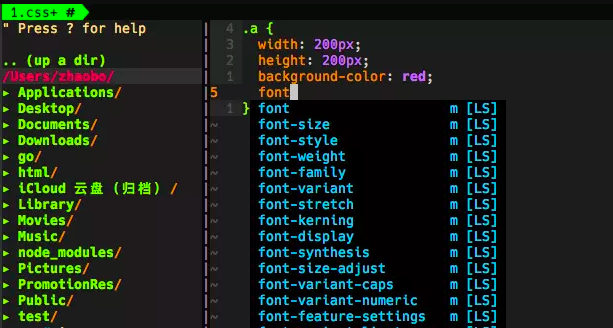 vim代码补全插件选择 coc.nvim 安装_[coc.nvim] looks like you've configured clangd in -CSDN博客