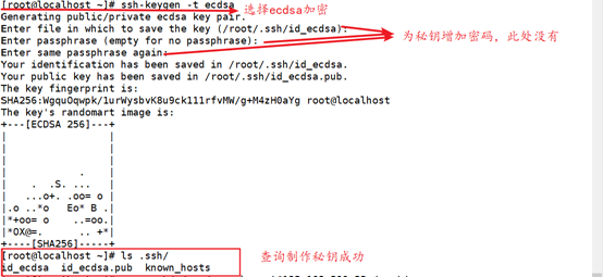 构建密钥对验证的SSH体系（设置客户端连接服务端秘钥验证）_生成ssh密钥 重命名 ecdsa-CSDN博客