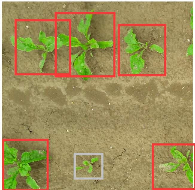 Tensorflow20 Yolo篇之提取xml文件信息weed Yolo Csdn博客