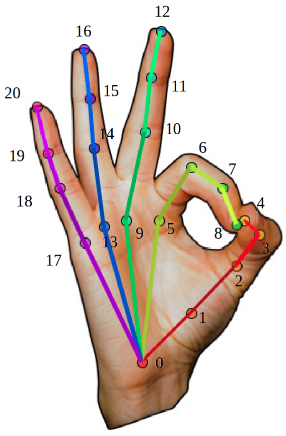 Openpose人体骨骼、手势--静态图像标记及分类（附源码）_openpose骨骼图-CSDN博客