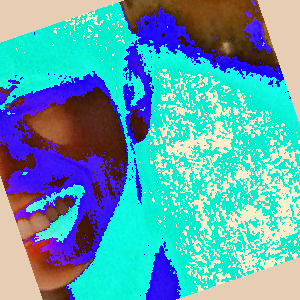 pytorch:torchvision.transforms实例讲解_transforms.topilimage()使用实例-CSDN博客